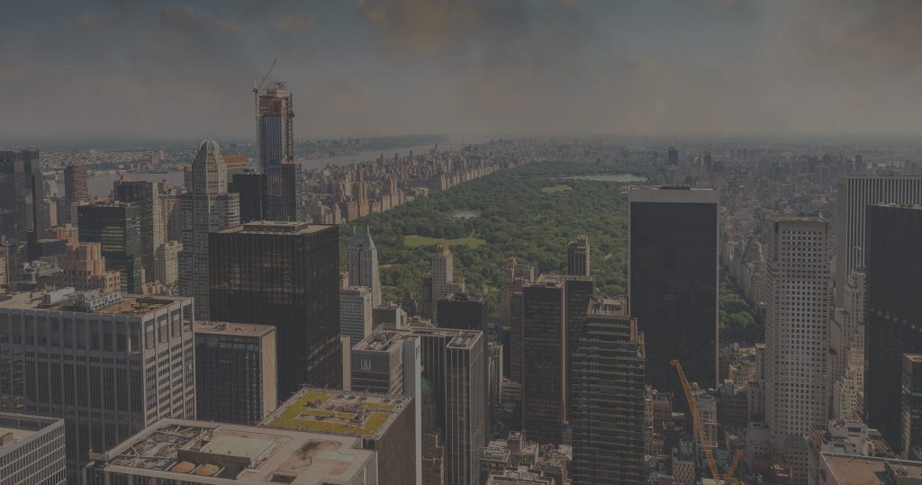 park | Vyonyx visualizations