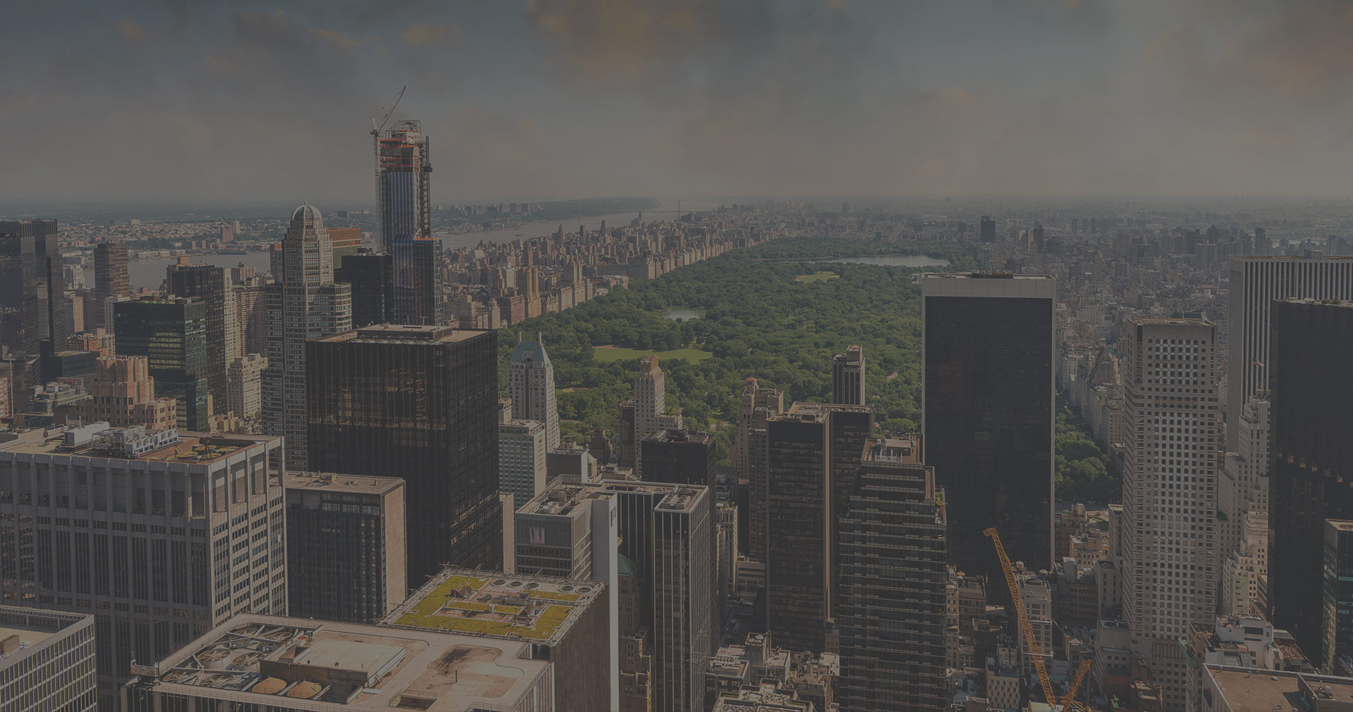 park | Vyonyx visualizations